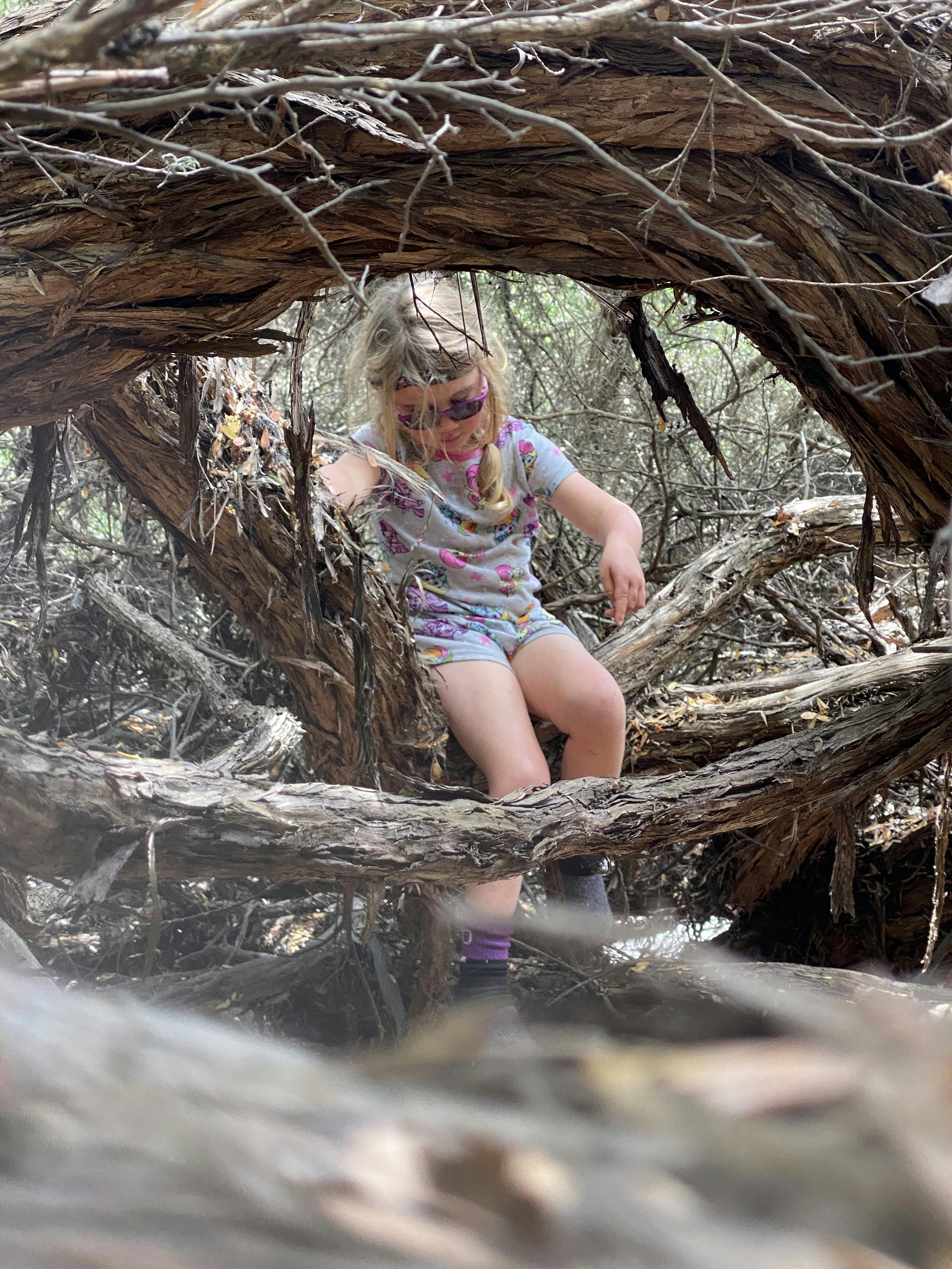 Little Earthlings Forest School - Preschool in San Francisco, CA - Winnie