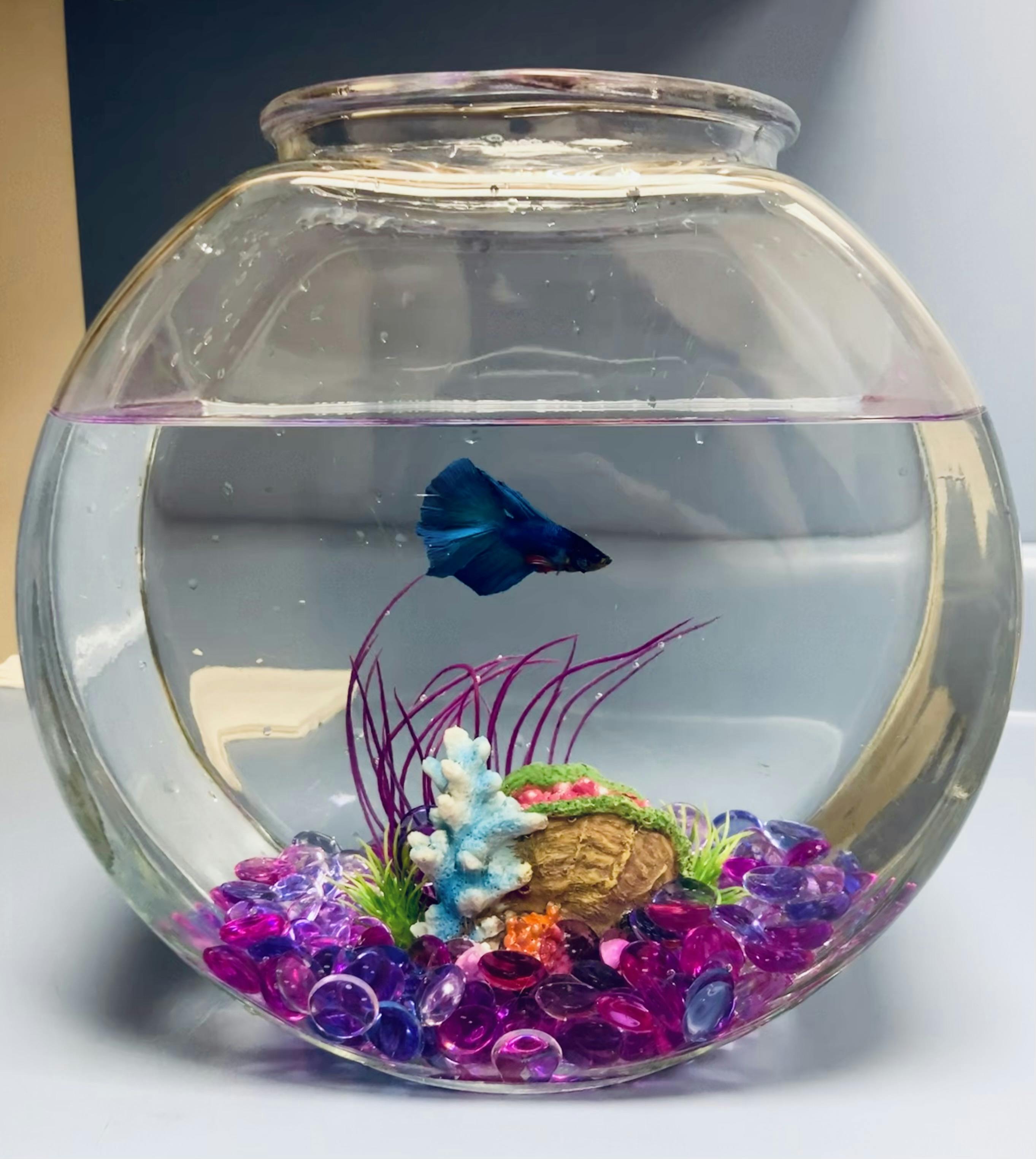 Early Bird Day School Academy - Daycare in Easton, PA - Winnie