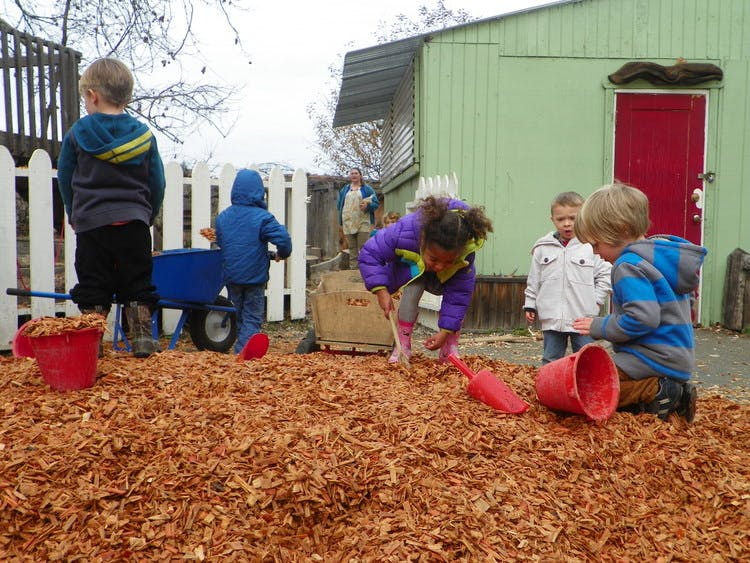 The Waldorf School Of Mendocino County - Preschool in Calpella, CA - Winnie