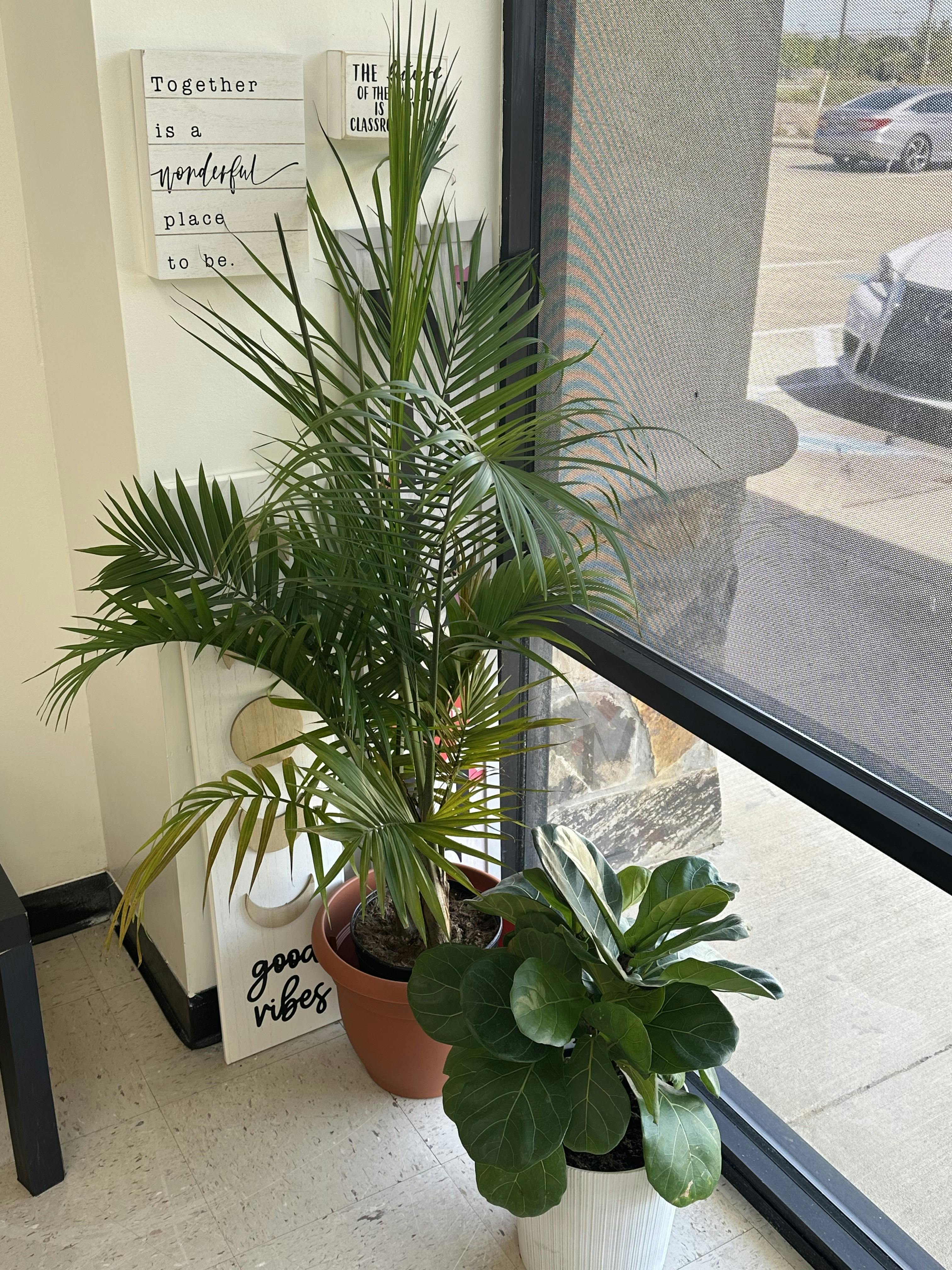 First Place Kids - Preschool in Houston, TX - Winnie