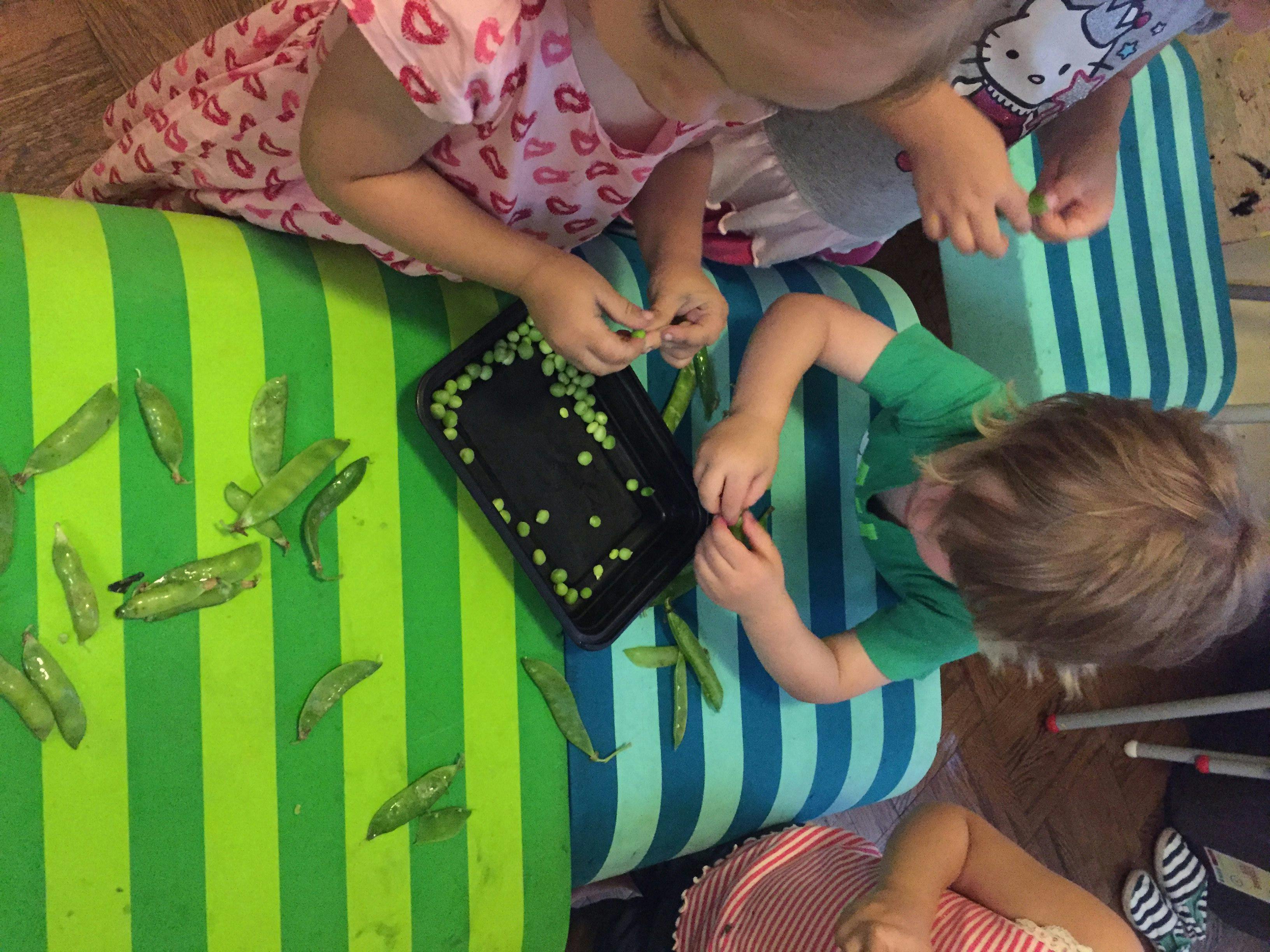 Tinker Tree - Daycare in New York, NY - Winnie