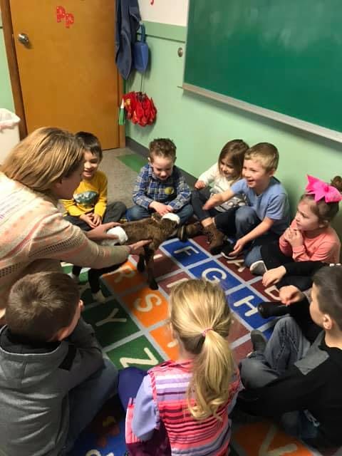 Springfield Christian Kindergarten And Preschool - Preschool in ...