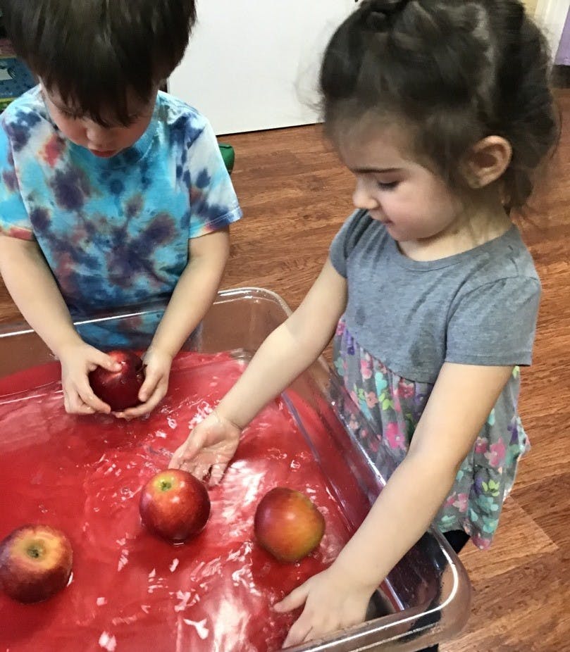 All Around Children (Woodland) - Daycare in Cleveland, OH - Winnie