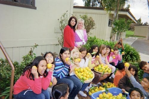 Bay Area Child Care Centers (Gomes Elementary) - Daycare in Fremont, CA ...
