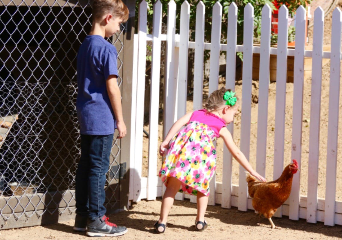 Little Farm Preschool - Preschool in Lake Elsinore, CA - Winnie