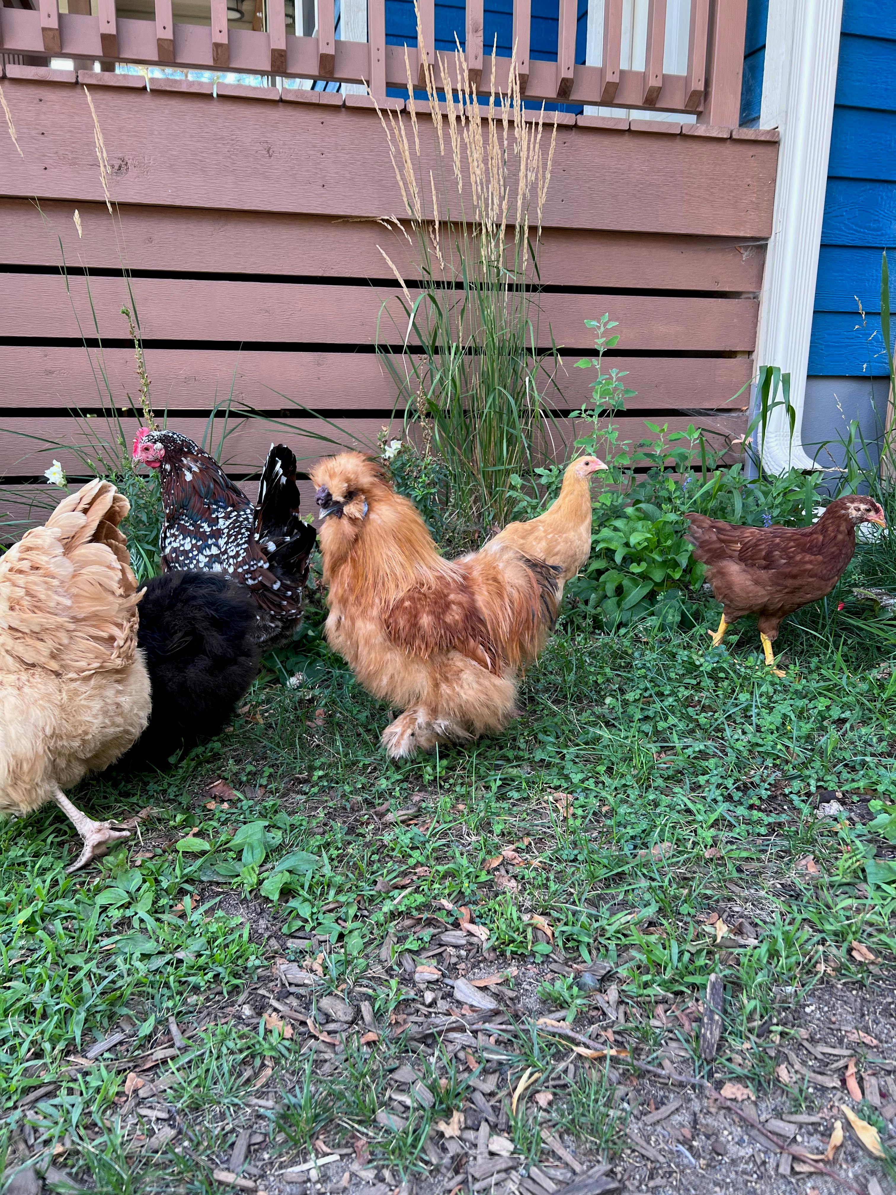 Larksong Preschool - Preschool in Minneapolis, MN - Winnie