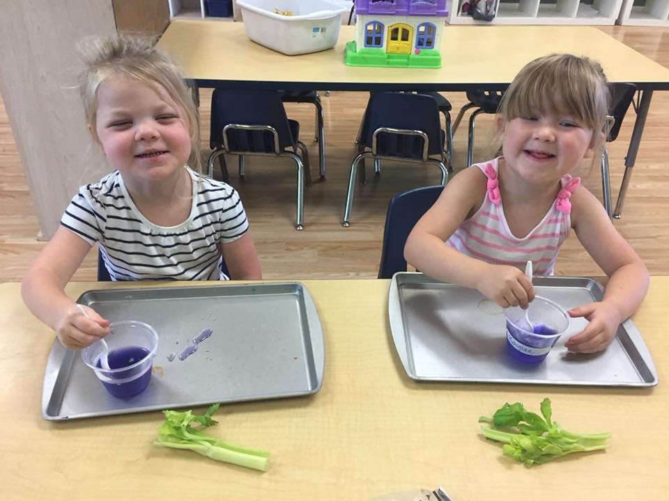 Stepping Stones Preschool & Infant Care - Preschool in Murrieta, CA ...