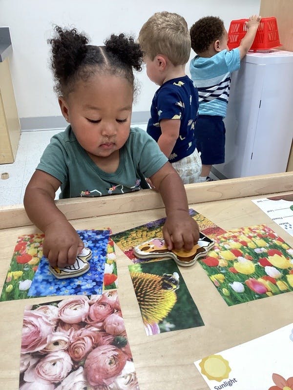 Prodigy Early Learning at Berkeley - Daycare in Summerville, SC - Winnie