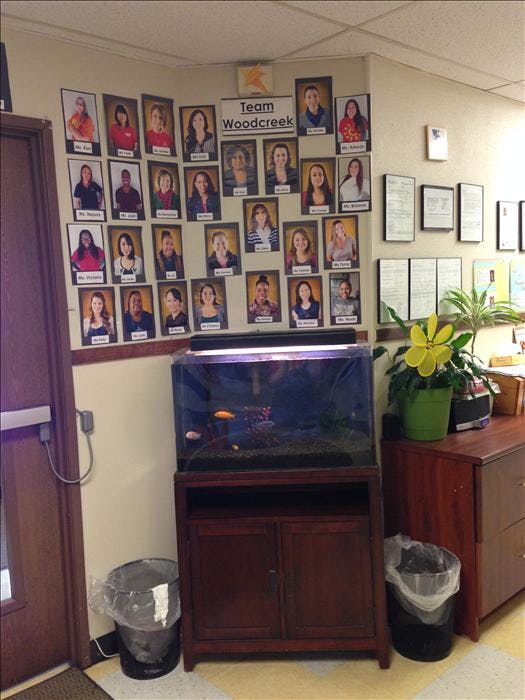 Fairfield KinderCare - Daycare in Fairfield, CA - Winnie